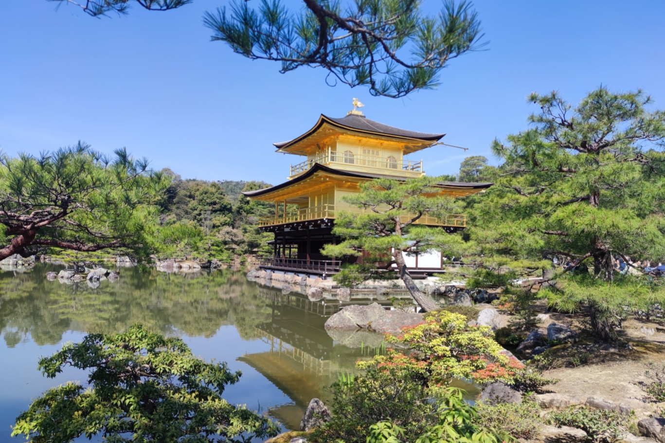Japan Local Tour Package 11 Days 10 Nights